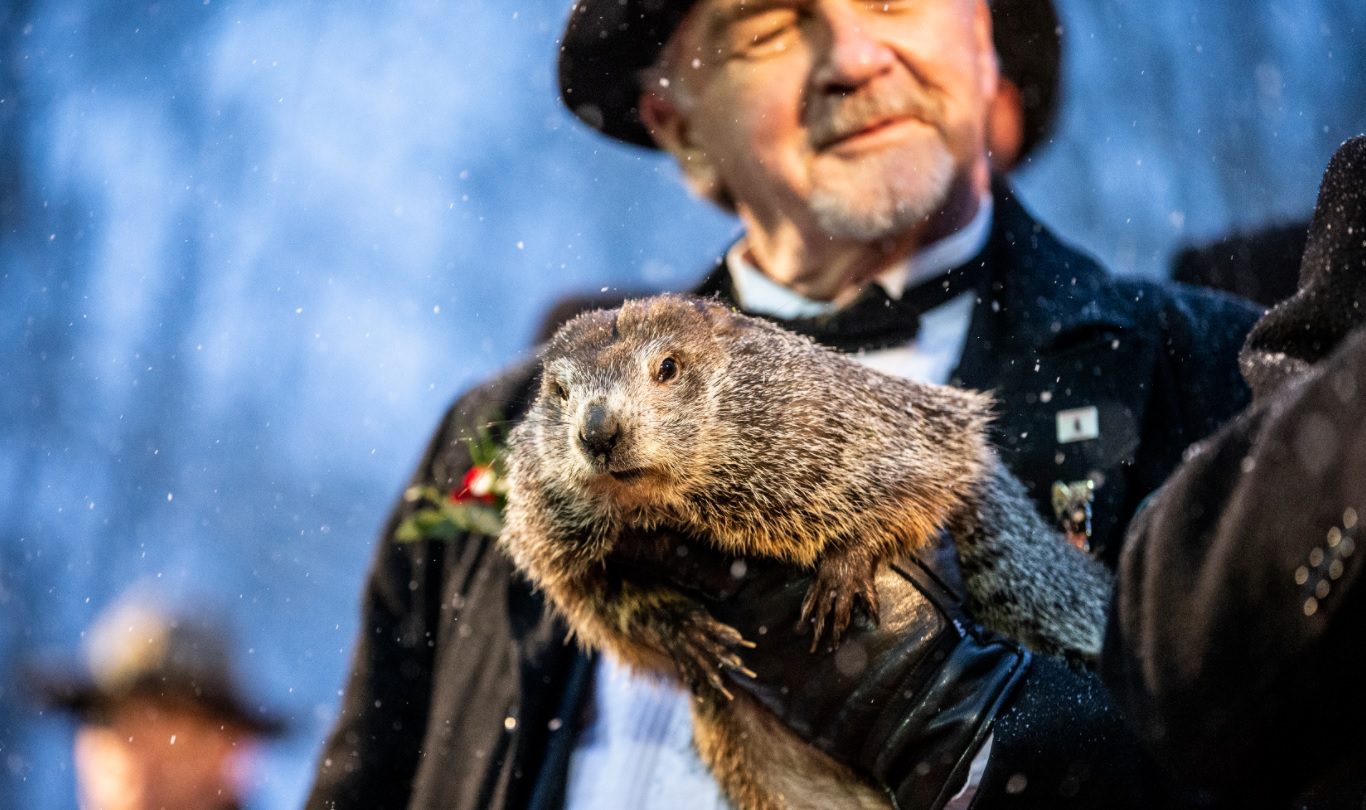 STARA TRADICIJA Svizac Phil otkrio kada stiže proljeće! - Cronika